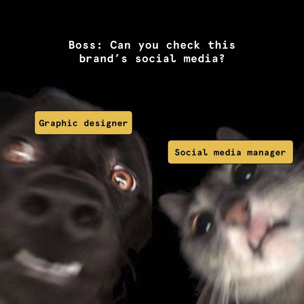 What are the qualities of the best multimedia designers? - Story League